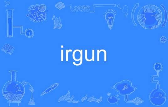 irgun_百度百科