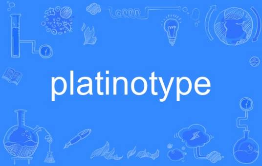 platinotype_百度百科