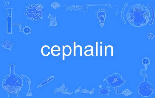 cephalin_百度百科