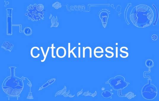 cytokinesis_百度百科