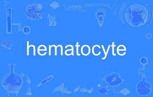 hematocyte_百度百科