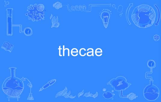 thecae_百度百科
