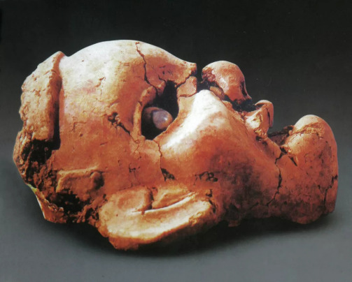 红山女神（红山文化考古区泥塑女人头像）_百度百科