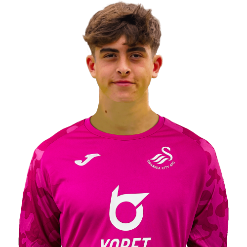 Lewis Webb（2001年生威尔士足球运动员）_百度百科