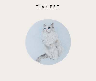 TIANPET_百度百科