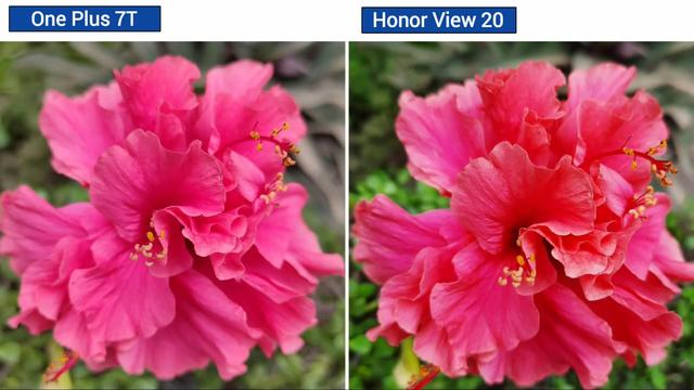 一加7T和荣耀V20拍照对比 评论区又被攻占了_百科TA说