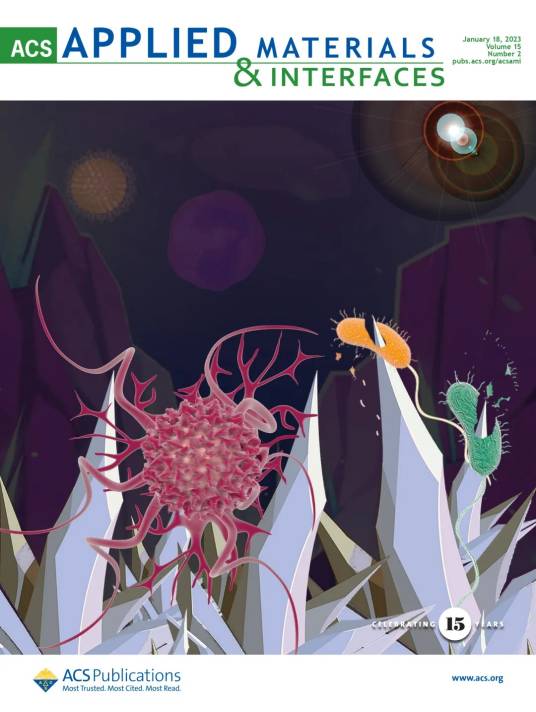 ACS Applied Materials & Interfaces_百度百科