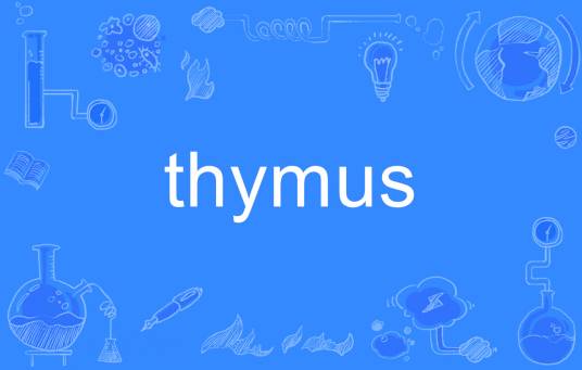 thymus_百度百科