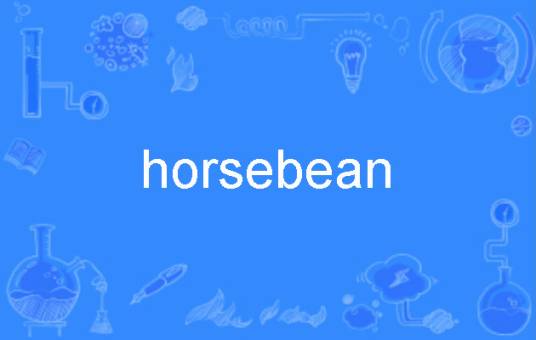 horsebean_百度百科
