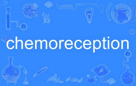chemoreception_百度百科