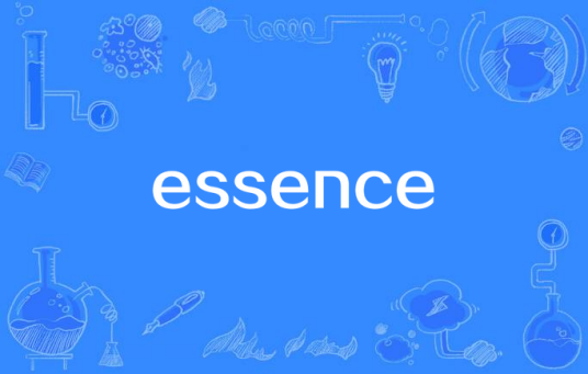 essence（英语词语）_百度百科
