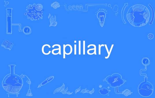 capillary_百度百科