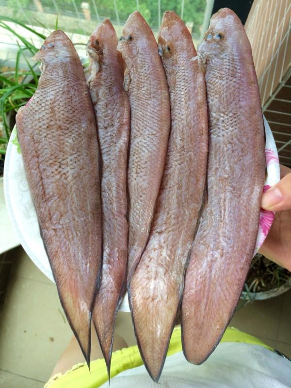 自然界中让人流连忘返的美食鱼类——龙利鱼_百科TA说