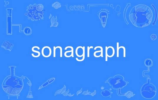 sonagraph_百度百科