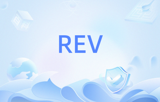 REV（表征体元）_百度百科