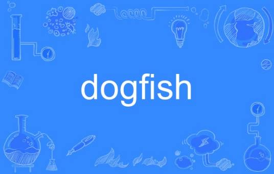 dogfish_百度百科