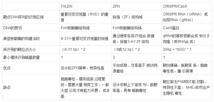 基因组编辑三大利器：TALEN、ZFN和CRISPR/Cas_百科TA说
