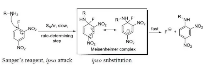 Meisenheimer络合物_百度百科