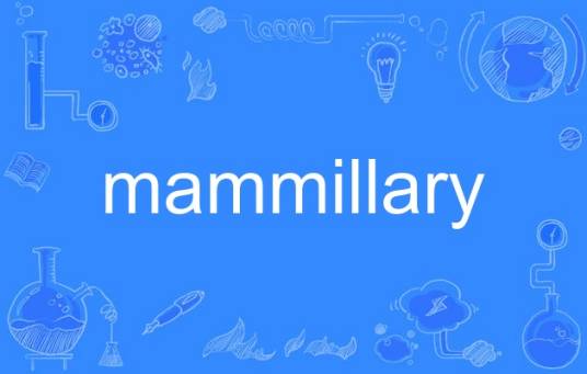 mammillary_百度百科