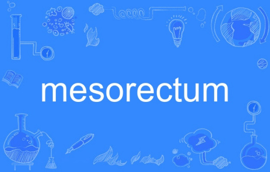 mesorectum_百度百科