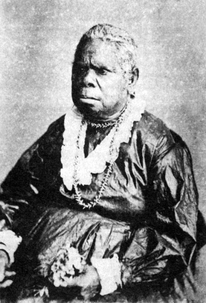 特鲁加尼尼_百度百科