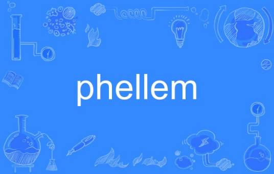phellem_百度百科