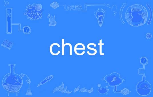 chest_百度百科