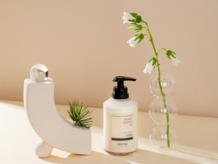 HONI EXPERIENCE_百度百科