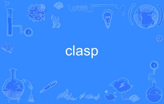 clasp_百度百科