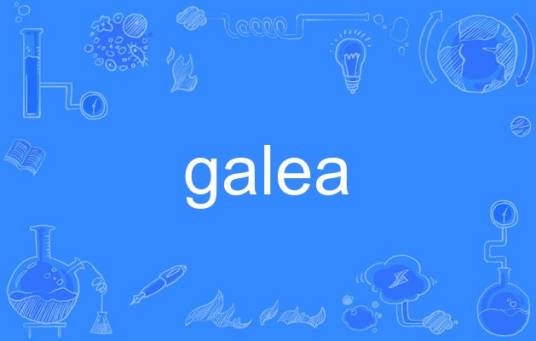 galea_百度百科