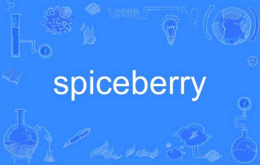 spiceberry_百度百科