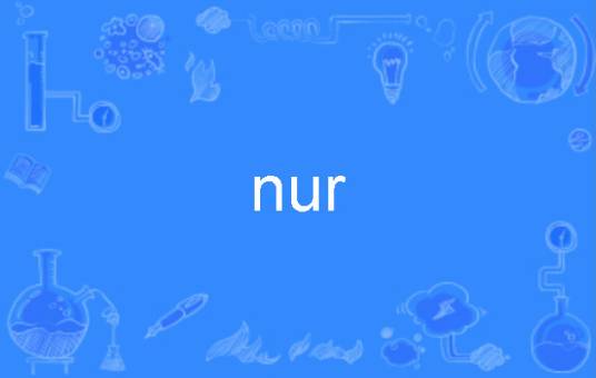 Nur（英语单词）_百度百科