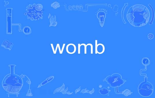 womb_百度百科