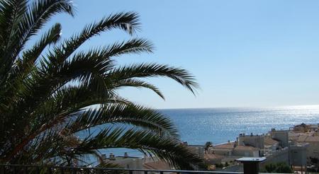 Hostal La Palmera_百度百科