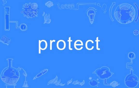 protect（英语单词）_百度百科
