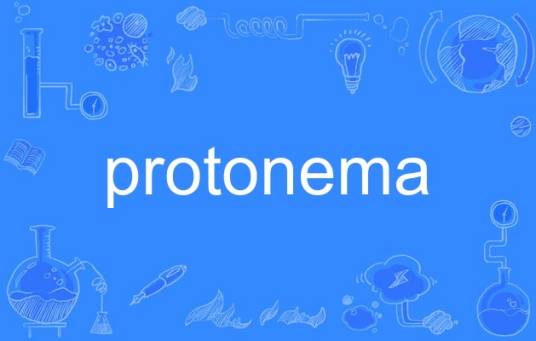protonema_百度百科