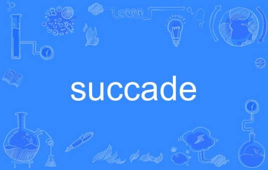 succade_百度百科