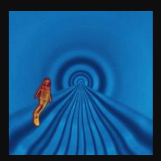 1st.New PSYCAT_百度百科