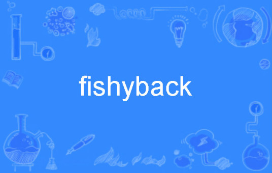fishyback_百度百科