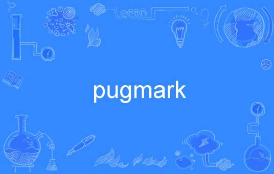 pugmark_百度百科