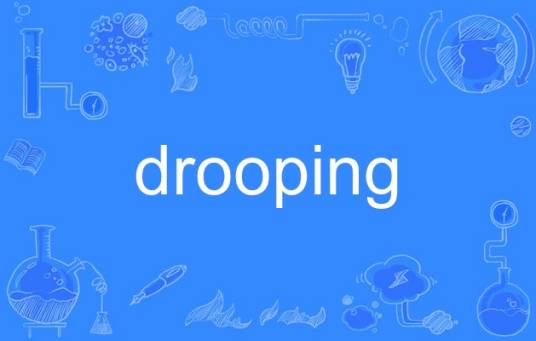 drooping_百度百科