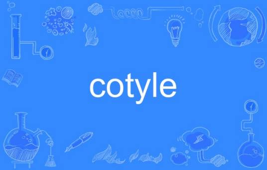 cotyle_百度百科