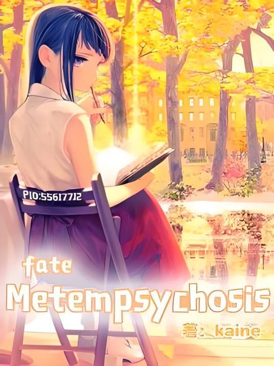 Fate/Metempsychosis_百度百科