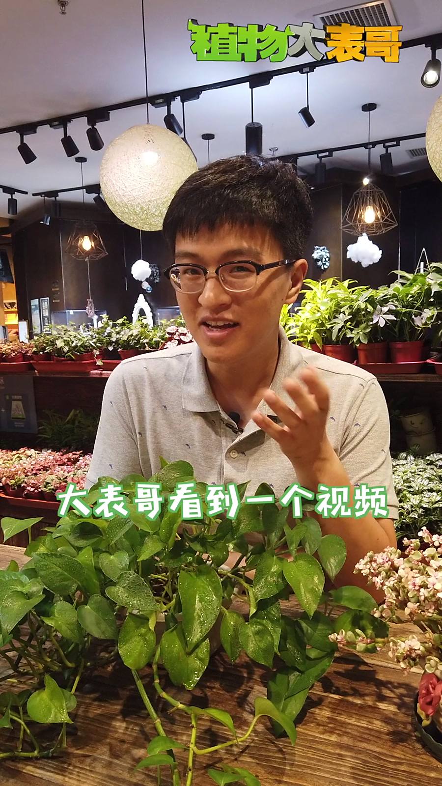 家中常见的绿萝居然还有毒 科星球 百度百科