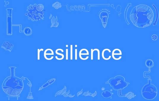 resilience（英语单词）_百度百科