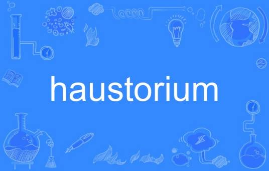 haustorium_百度百科