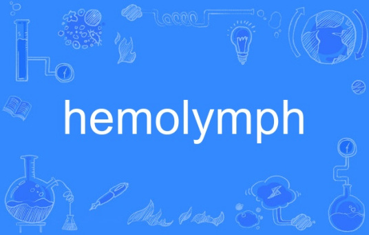 hemolymph_百度百科