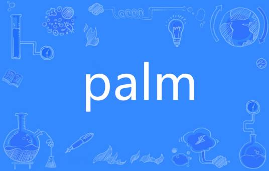 PALM（英语单词）_百度百科