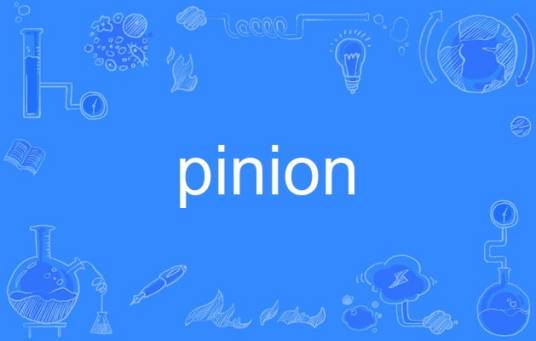 pinion_百度百科