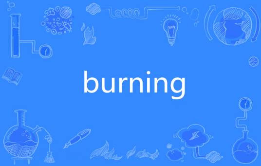 burning（英文单词）_百度百科